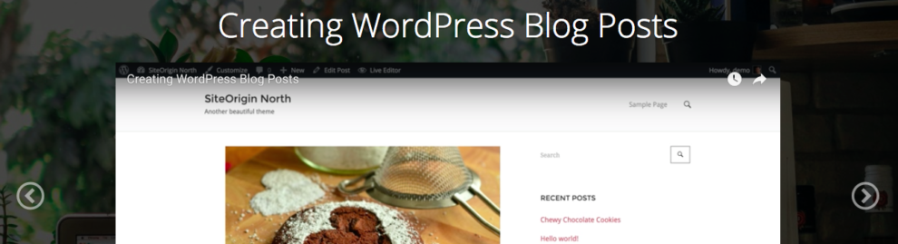 Flexible Video Content with Focus - SiteOrigin