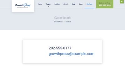 A niche marketing and SEO WordPress Theme by Proteus Themes